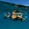 U.S. Divers Matrix Snorkeling Diving Kit, 2-Window Mask, Dry-Top ...