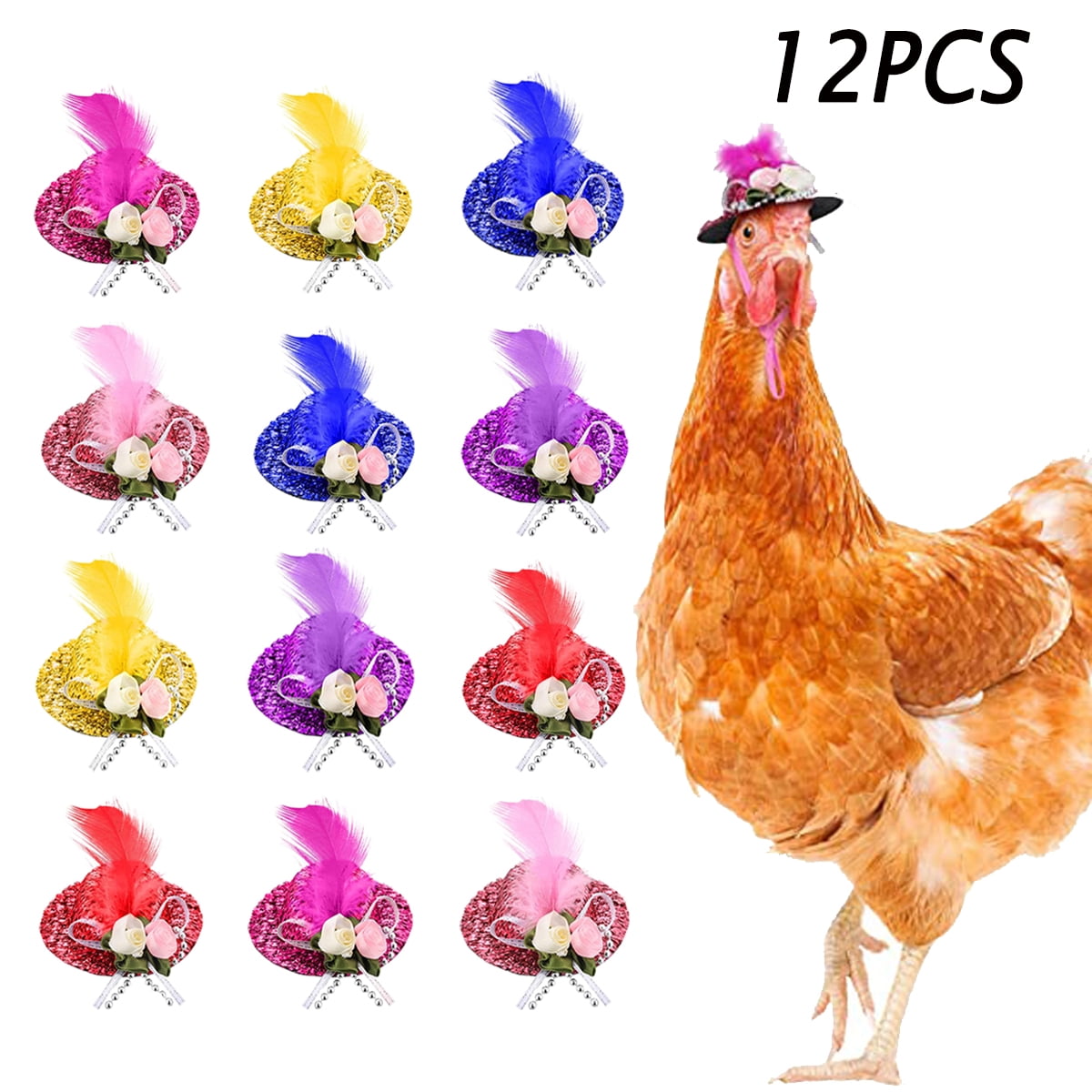 Bonnets For Chickens