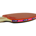 Butterfly Wakaba 3000 Racket - Walmart.com