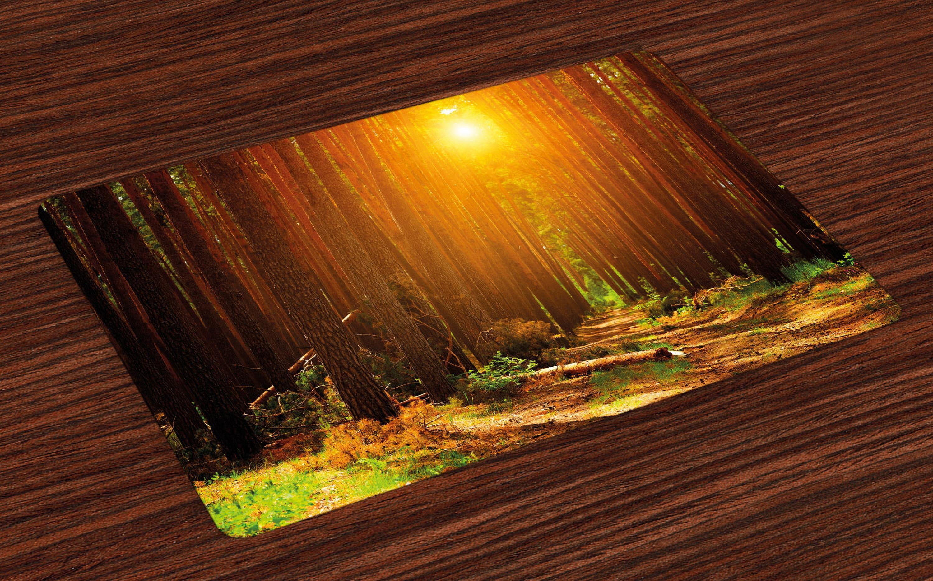 Ambesonne Landscape Place Mats Set of 4, Sunset Dawn Sun Rise, Standard ...
