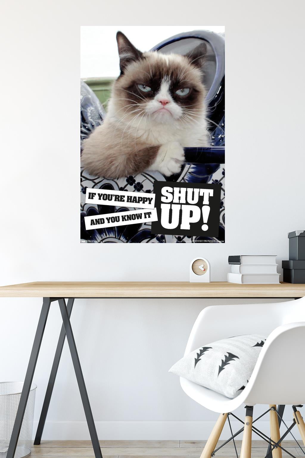 Angry Cat Shut Up