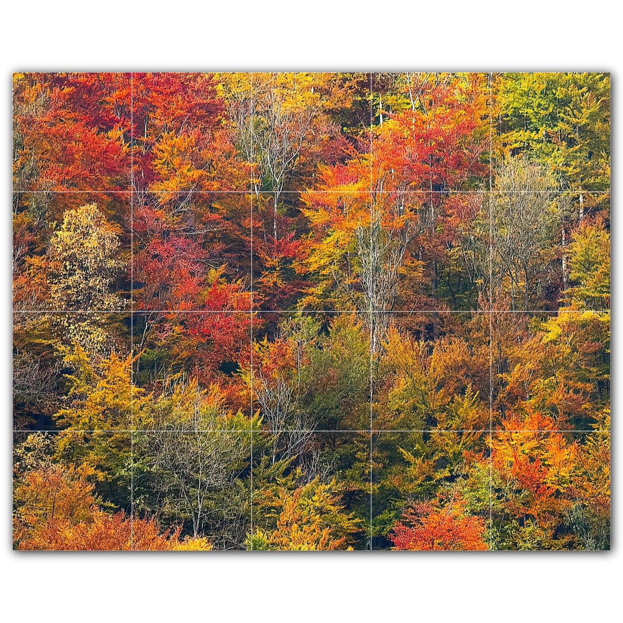 Picture-Tiles.com: Autumn Ceramic Tile Wall Mural WAL500036-54L. 40"W x ...