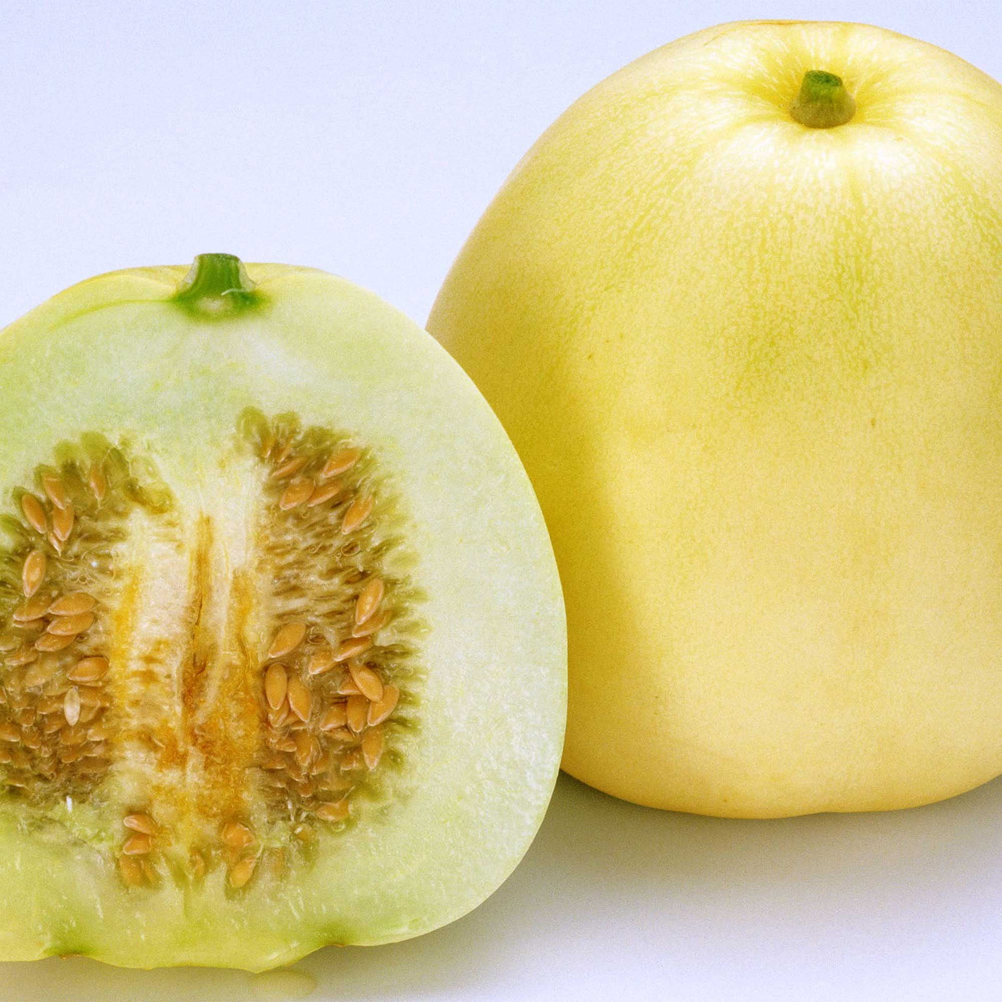 Melon Seeds - New Melon - 1 Oz ~2800 Seeds - Non-GMO, Heirloom - Fruit ...