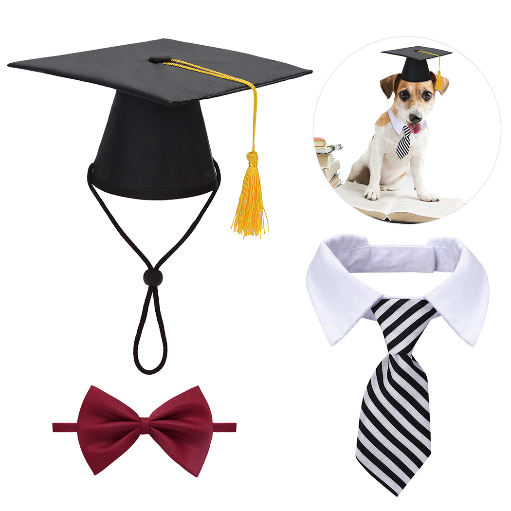 Pet Graduation Cap Fashion Pet Dog Hat Pet Costume Hat with Pet Bowtie ...