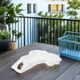 DEEPCRAFF Turtle Resting Terrace and Ramp White Reptile Water Basin for ...