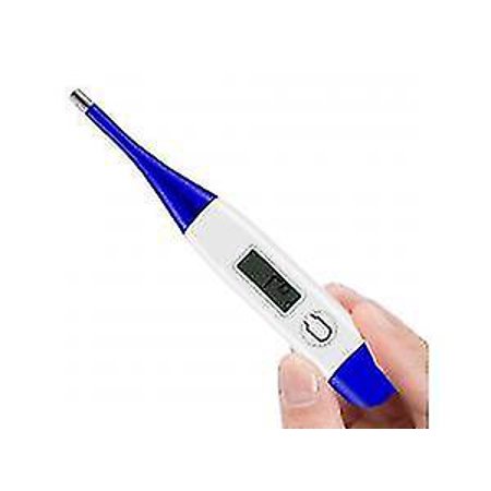 SICED Clinical Led Digital Professional Thermometer | Walmart Canada
