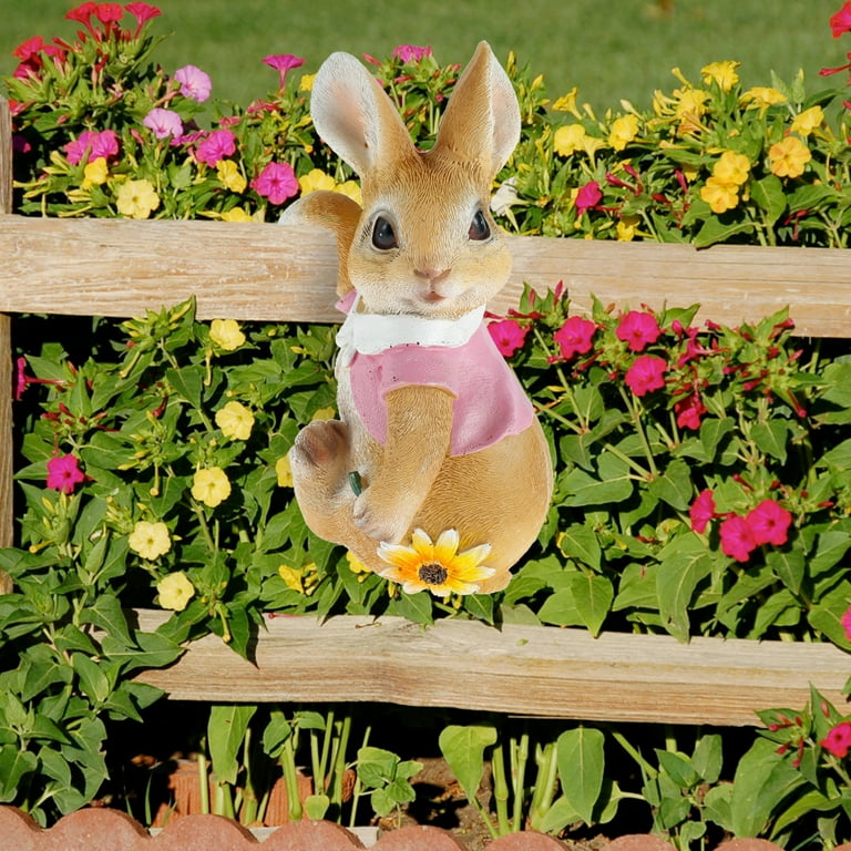 Dwarf Rabbit In A Garden