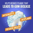 TheraBreath Healthy Gums Mouthwash, Antigingivitis & Bleeding Gums ...