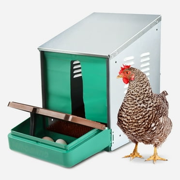 Rite Farm Products 4-Pack Washable Poly Egg Nesting Box, Plastic ...