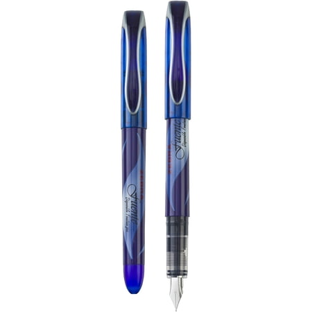 Zebra Fuente Disposable Fountain Pen - Blue (Pack of 12) | Walmart Canada