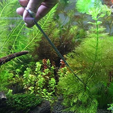 Aquarium Terrarium Scissors Planting Scissors, Stainless Steel Aquarium ...