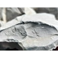 Dclays Blue Ural Clay 500 Grams - Walmart.com
