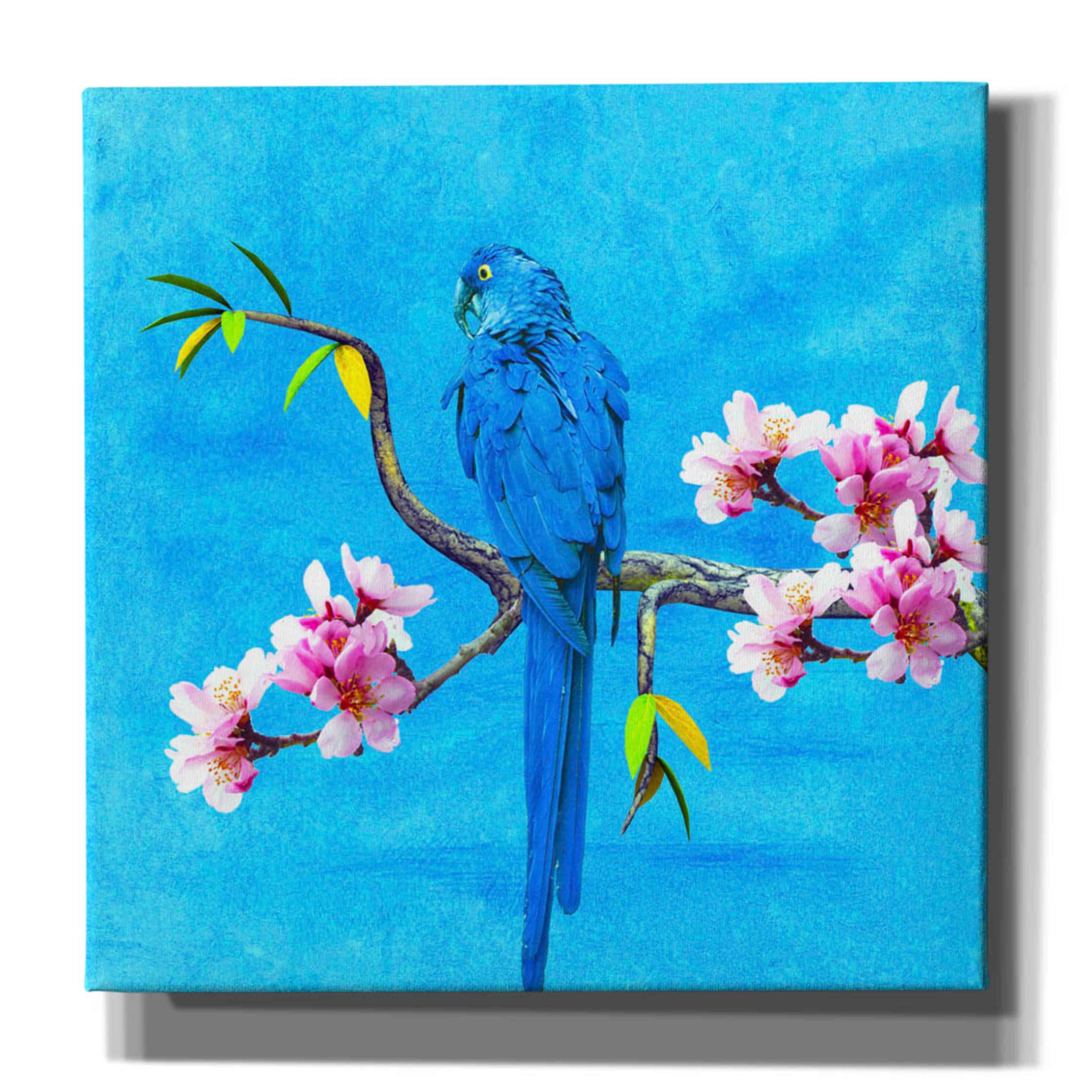 Epic Graffiti 'Spring Bird And Flower' by Ata Alishahi, Giclee Canvas ...