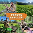 Whitetail Products Gone Wild, Bedding Switchgrass Food Plot Seeds, 3lb ...