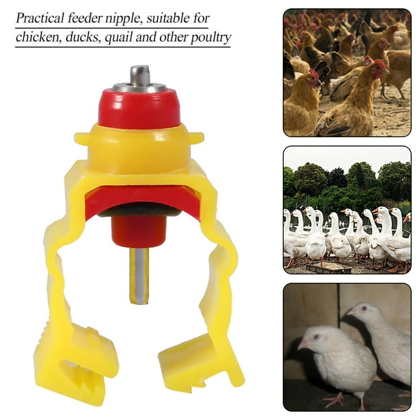 20pcs/pack ABS Stainless Steel Ball Nipple Chicken Feeder Nipper ...