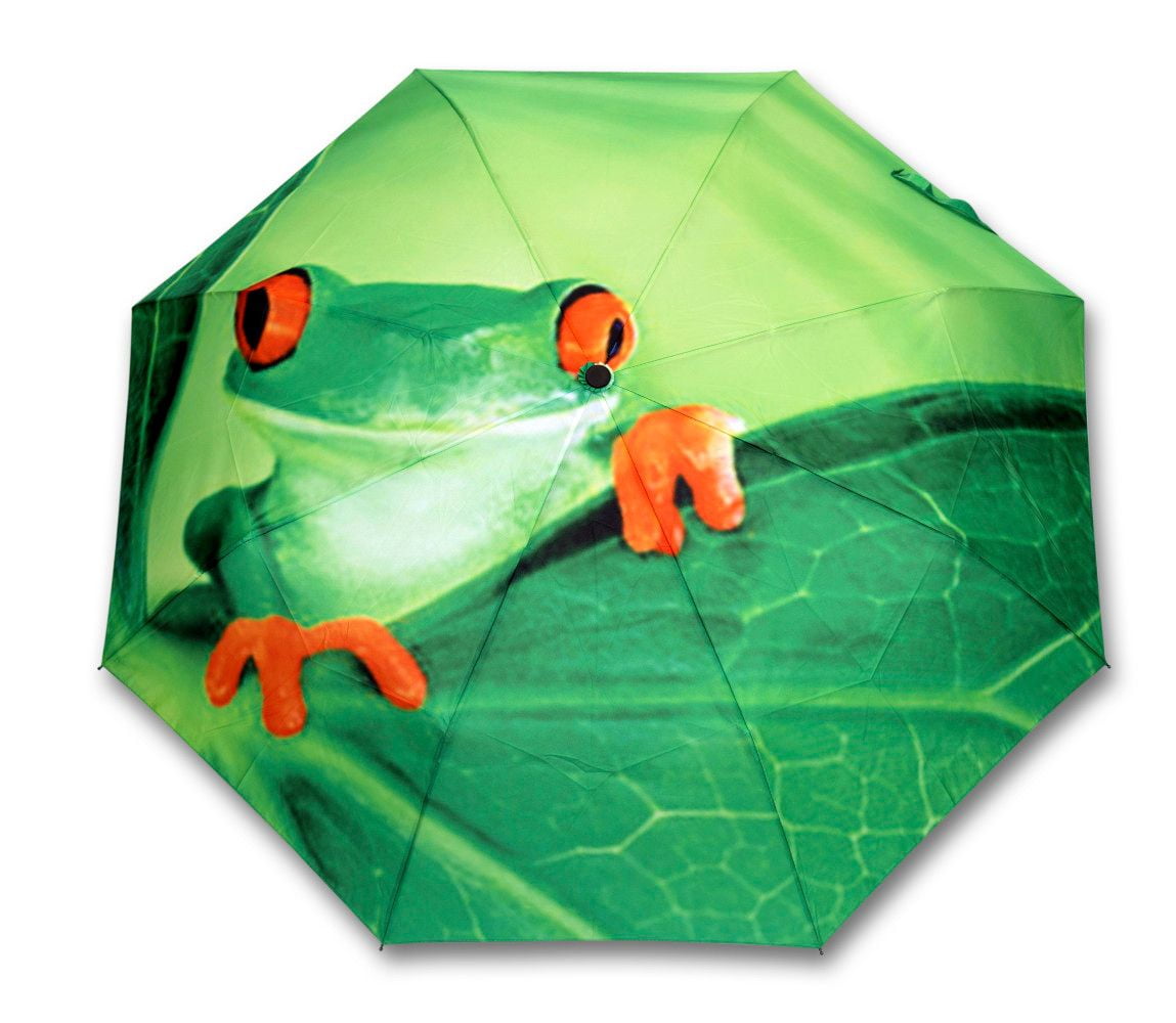 Springbok Puzzles Eye Spy Full Size Umbrella w/ Auto Extend - Walmart.com