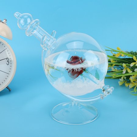 Windstorm Glass, Weather Bottle, Free To Place Durable To Use Living ...