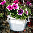 12 Pack Hanging Plant Water Catcher Trays, 12 Inch Clear Plastic Drip ...