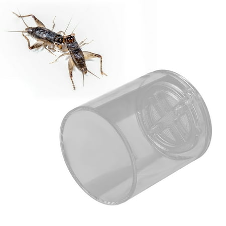 ESTINK Cricket Terrarium,Insect Feeding Box,Cricket Terrarium Portable ...