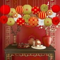 Renbuzhu 20Pcs Chinese Lunar New Year Decorations 2026 Paper Lanterns ...