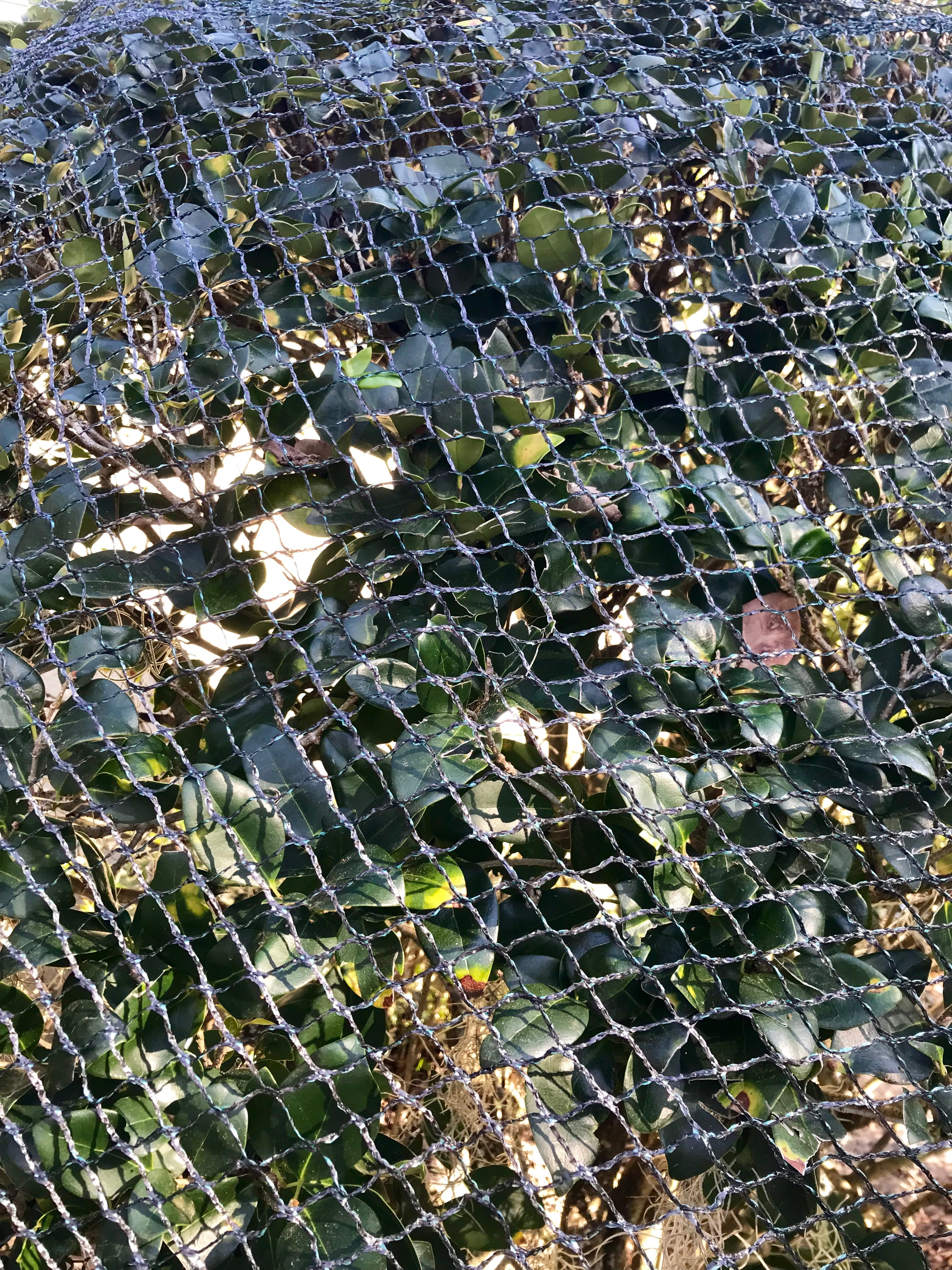 Professional Grade Reusable Bird Netting Heavy Duty Does Not Tangle Or ...