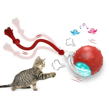 DOTSOG Electric Moving Fish Cat Toy, Realistic Wagging & Interactive ...