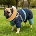 Dog Winter Coat with Reflective Jacket 4 Legs, Cold Weather Costume for ...