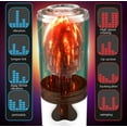 Erotica Automatic Male Masturbator Cup With 7 Thrusting And Spinning