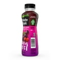 Minute Maid Cranberry Grape Fruit Juice Drink, 12 fl oz Bottle ...