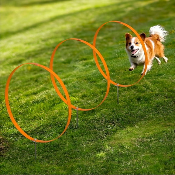 TRIXIE Dog Agility Tunnel 6.5', Portable Dog Training Tunnel, Obedience ...