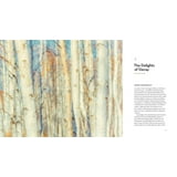 The Hidden Life of Trees: A Visual Journey into Forest Ecosystems ...