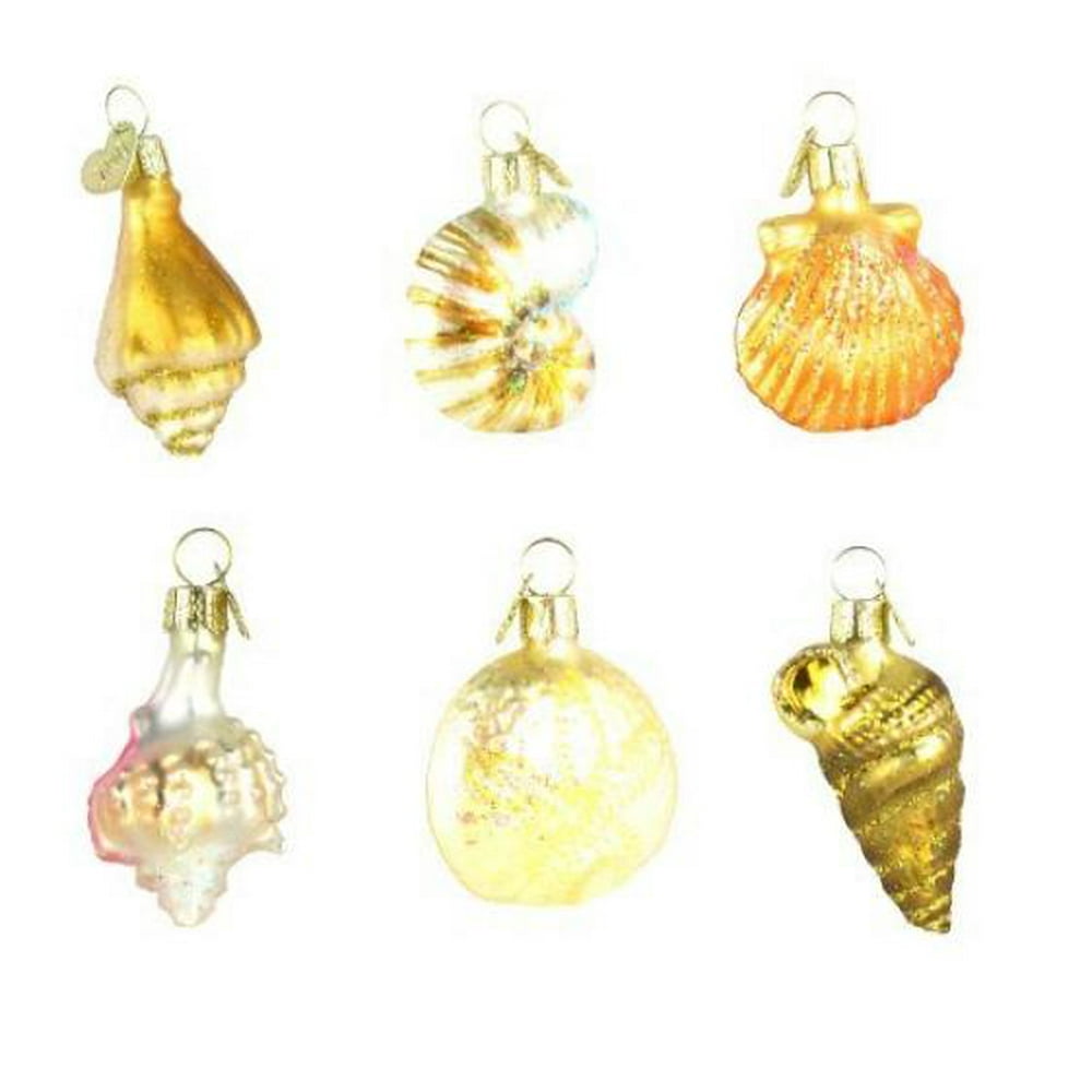 Old World Christmas Assorted Sea Shell Set Glass Blown Ornament ...