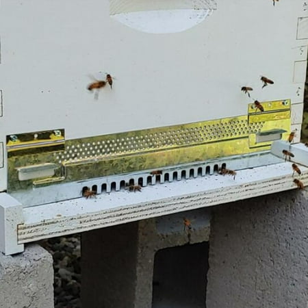 Comaie Beehive Entrance Reducer Mouse Guards Galvanized Iron Metal ...