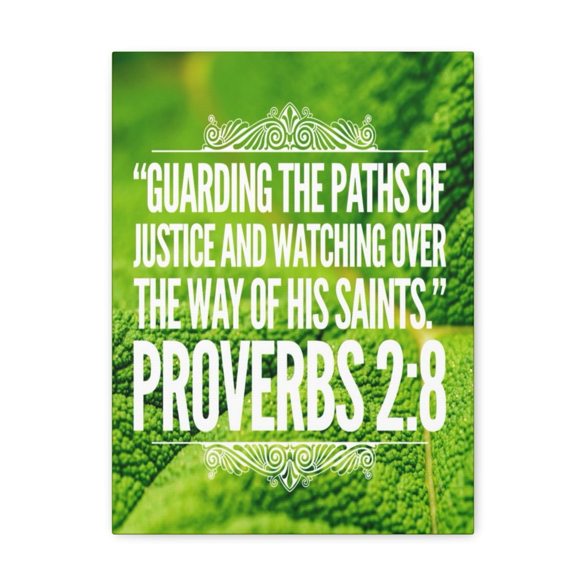 Scripture Walls Guarding The Paths Proverbs 2:8 Bible Verse Canvas ...