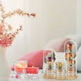 10pc Glass Dome Cover Decorative Display Case Cloche Bell Jar Terrarium ...