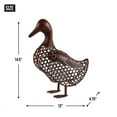 Chicken Wire Duck Sculpture - Walmart.com