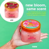 Tree Hut Pink Hibiscus Shea Butter Sugar Body Scrub, 18 oz - Walmart.com