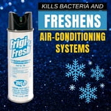 BG Frigi-Fresh Automotive Air Conditioning Cleaner and Freshener (5.5 ...
