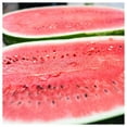 Everwilde Farms 40 Jubilee Watermelon Plant Seeds, Heirloom - Walmart.com