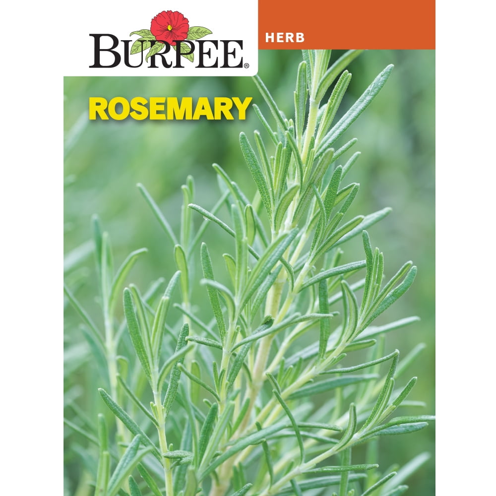 Burpee-Rosemary Seed Packet - Walmart.com