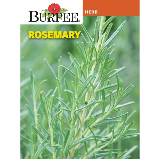 Burpee-Rosemary Seed Packet - Walmart.com