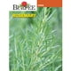 Burpee-Rosemary Seed Packet - Walmart.com