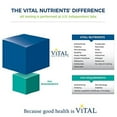 Vital Nutrients - BCQ Supplement, Bromelain, Curcumin, Quercetin, Joint ...
