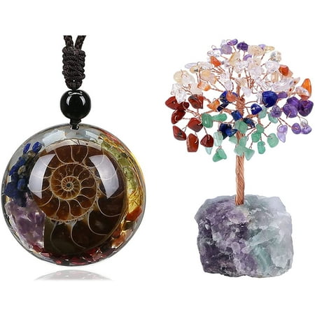 Top Plaza Bundle – 2 Items: 7 Chakra Resin Ammonite Fossil Spiral ...