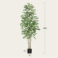 6 ft Tall Large Indoor Faux Moringa Oleifera Tree in Pot, Artificial ...