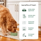 Freshpet Fresh Dog Food, Chunky Beef Recipe, Slice & Serve Roll, 6 lb ...