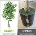 ROMSWI 6FT Artificial Ficus Tree with White Planter Tall Realistic ...