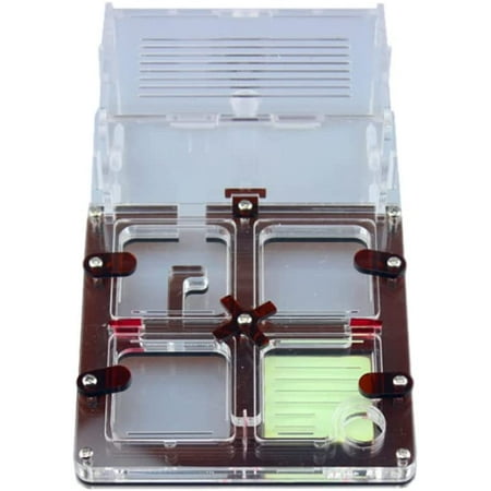 ant Farm Acrylic Ant Nest Castle Ant Tower Moisturizing Natural Ecology ...
