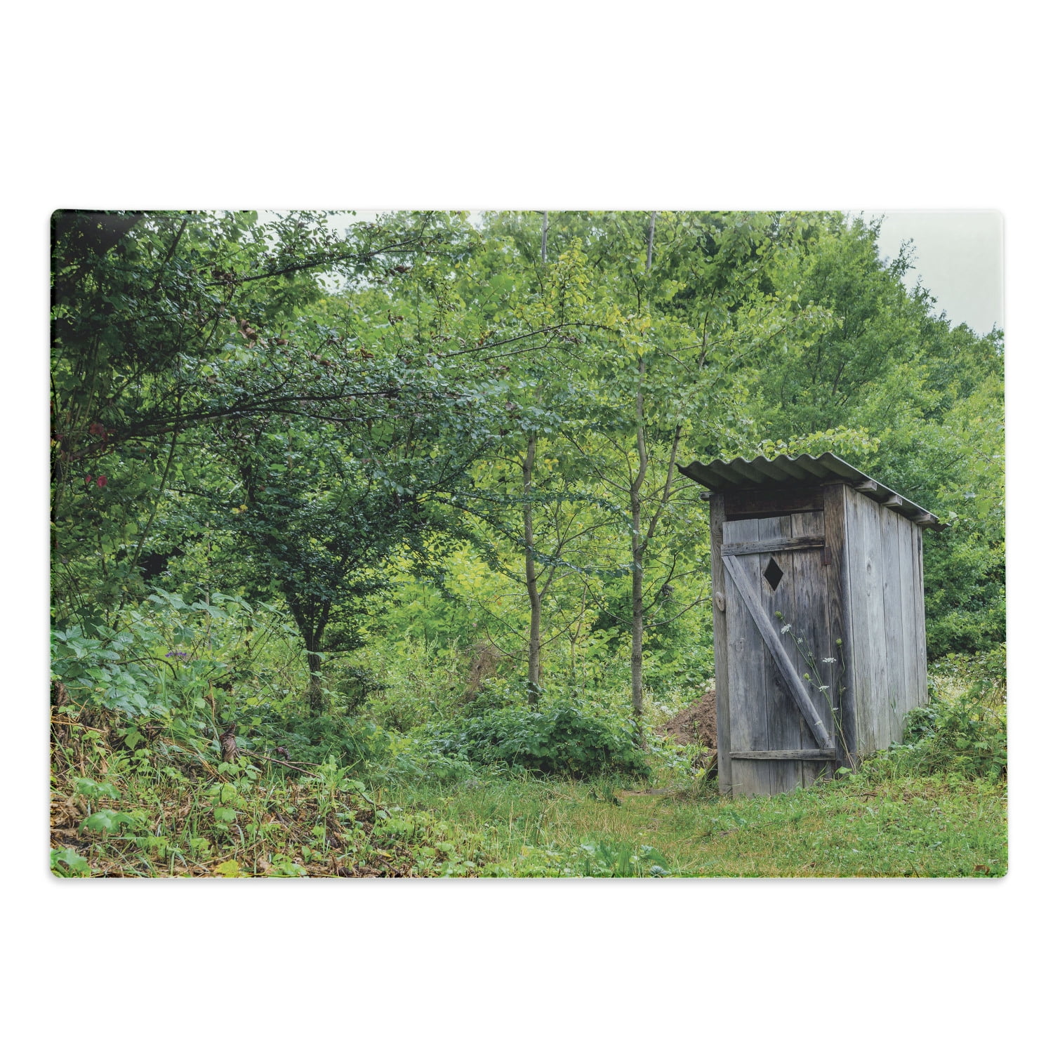 Outhouse Cutting Board, Worn out Cottage Hut in Abandoned Forest Spring ...