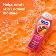 Softsoap Energizing Moisturizing Body Wash, Pomegranate and Mango ...